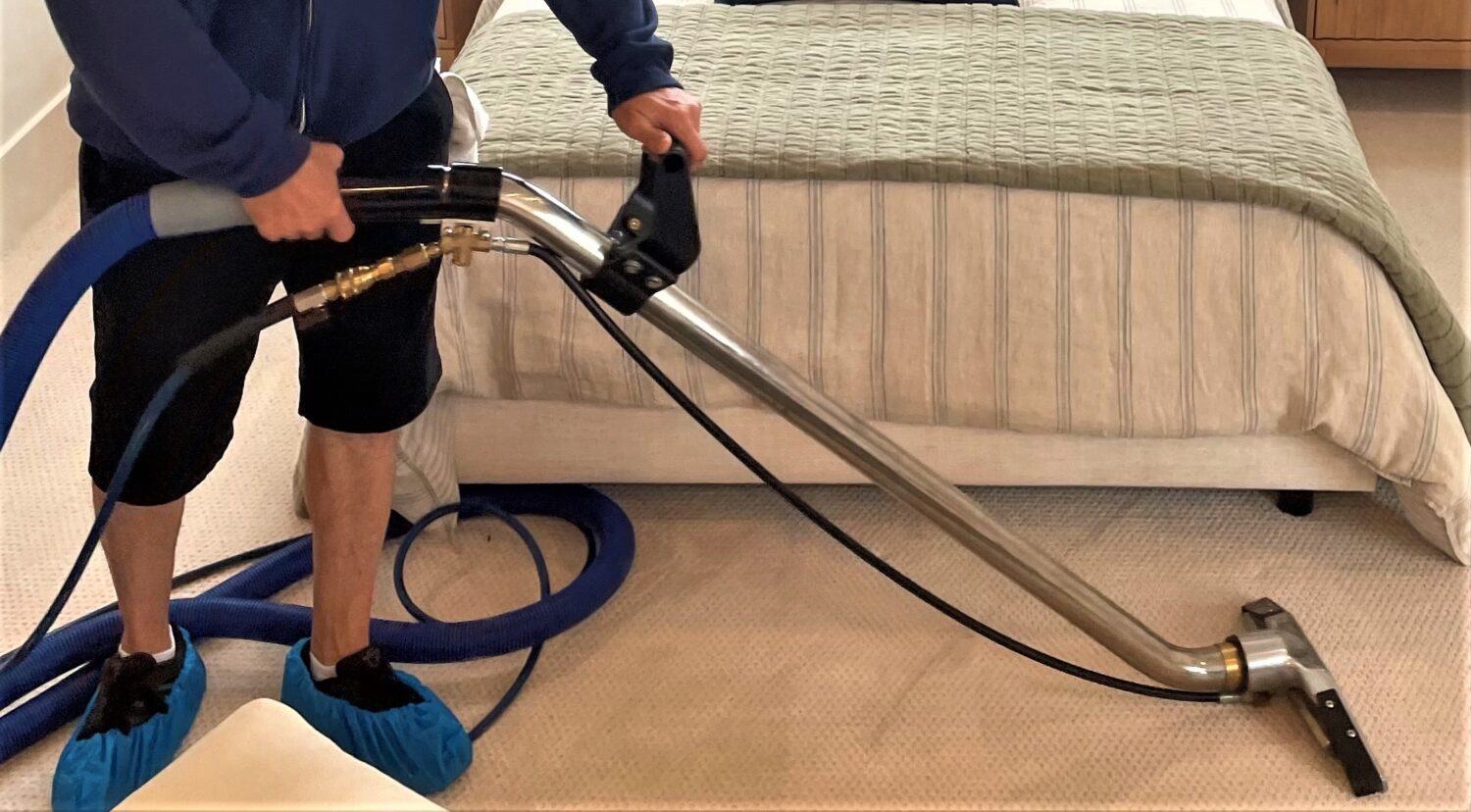 Top 10 Tips for Choosing a Carpet Cleaning Company - Pro-Care