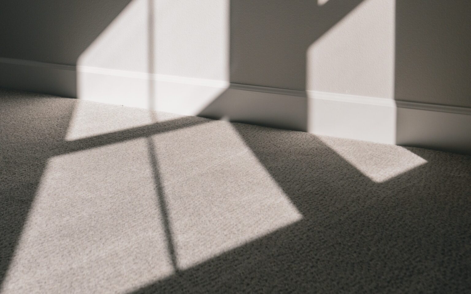 4 Reasons To Get Your Carpet Protected by the Pros... - Pro-Care