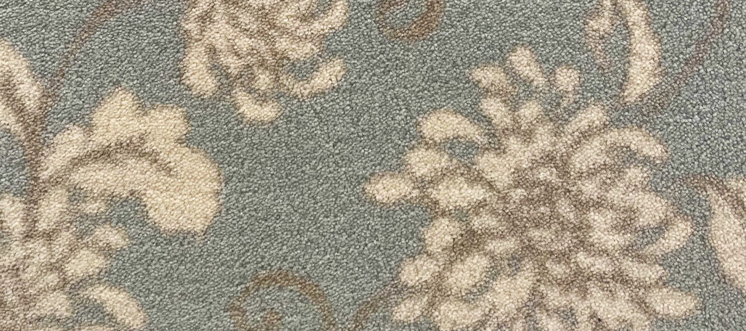 2024 Carpet Colors - Choose the Best Look for Your Lifestyle - Pro-Care