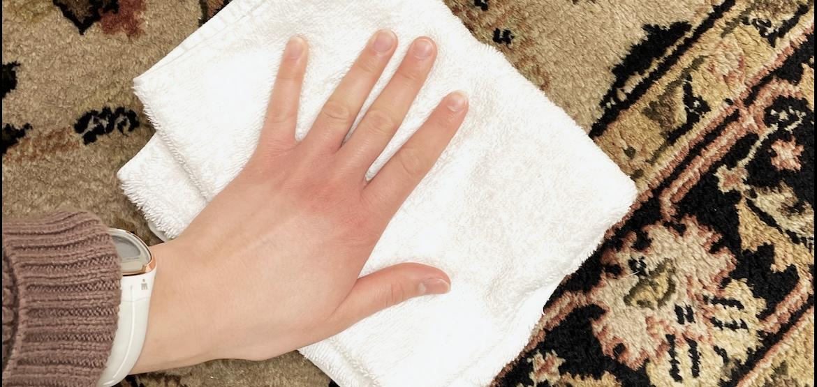 Spill? Spot? DIY your Oriental Rug Cleaning in 6 Easy Steps - Pro-Care