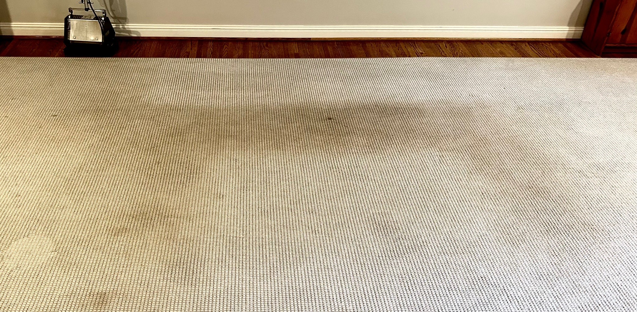 Prevent Carpet Damage – Tackle those Traffic Paths ASAP! - Pro-Care