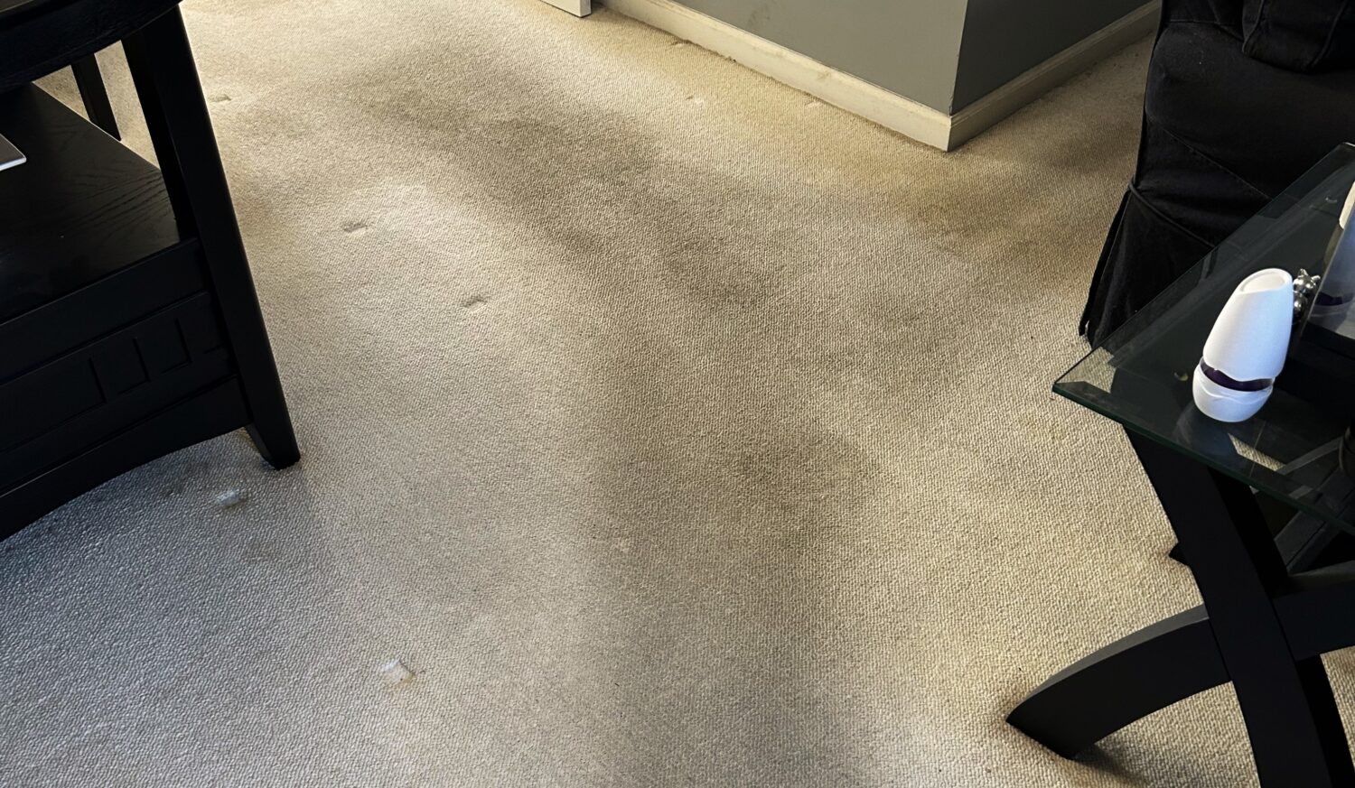 Prevent Carpet Damage – Tackle those Traffic Paths ASAP! - Pro-Care